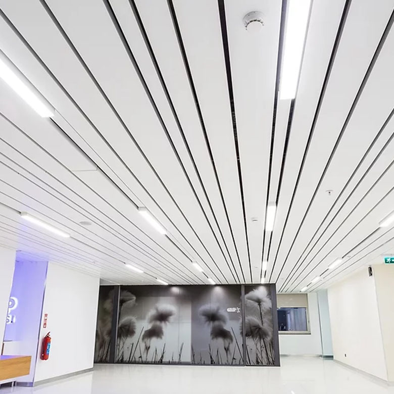Ceilings - Apton Partitioning