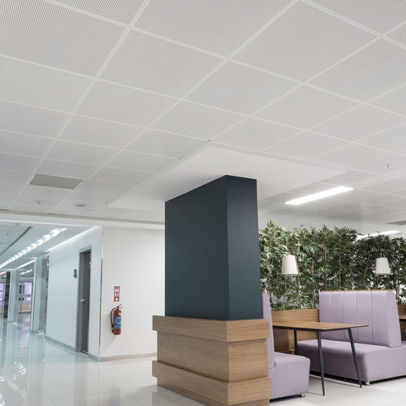 AP 102 Clip In Ceiling - Apton Partitioning